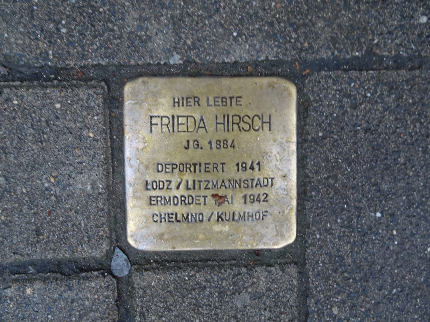 Stolpersteine in Köln, jüdische Geschichtstour , 2399 Schicksals ...